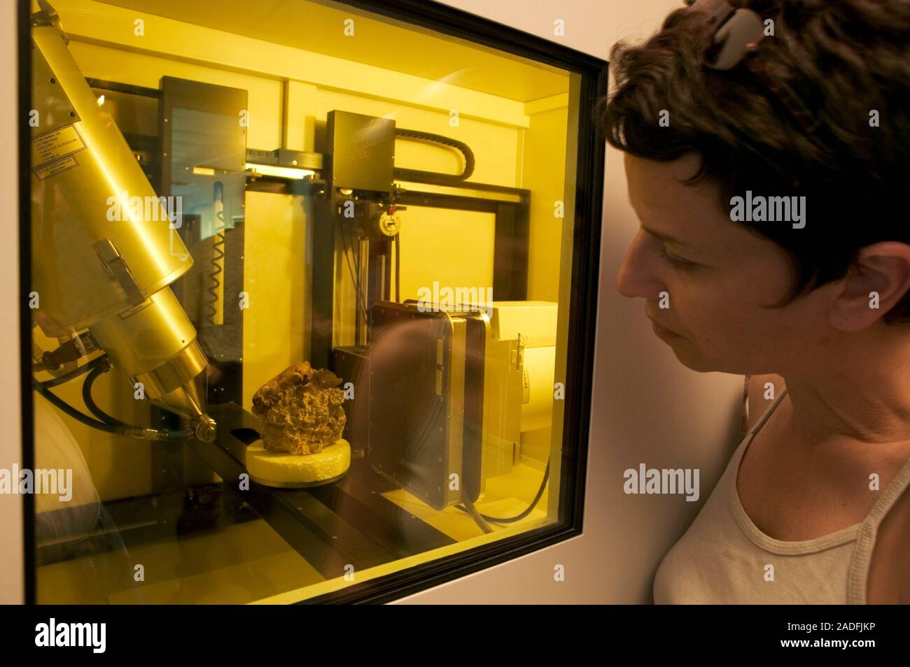 Fossil research. Researcher using a microtomograph to examine a fossil ...