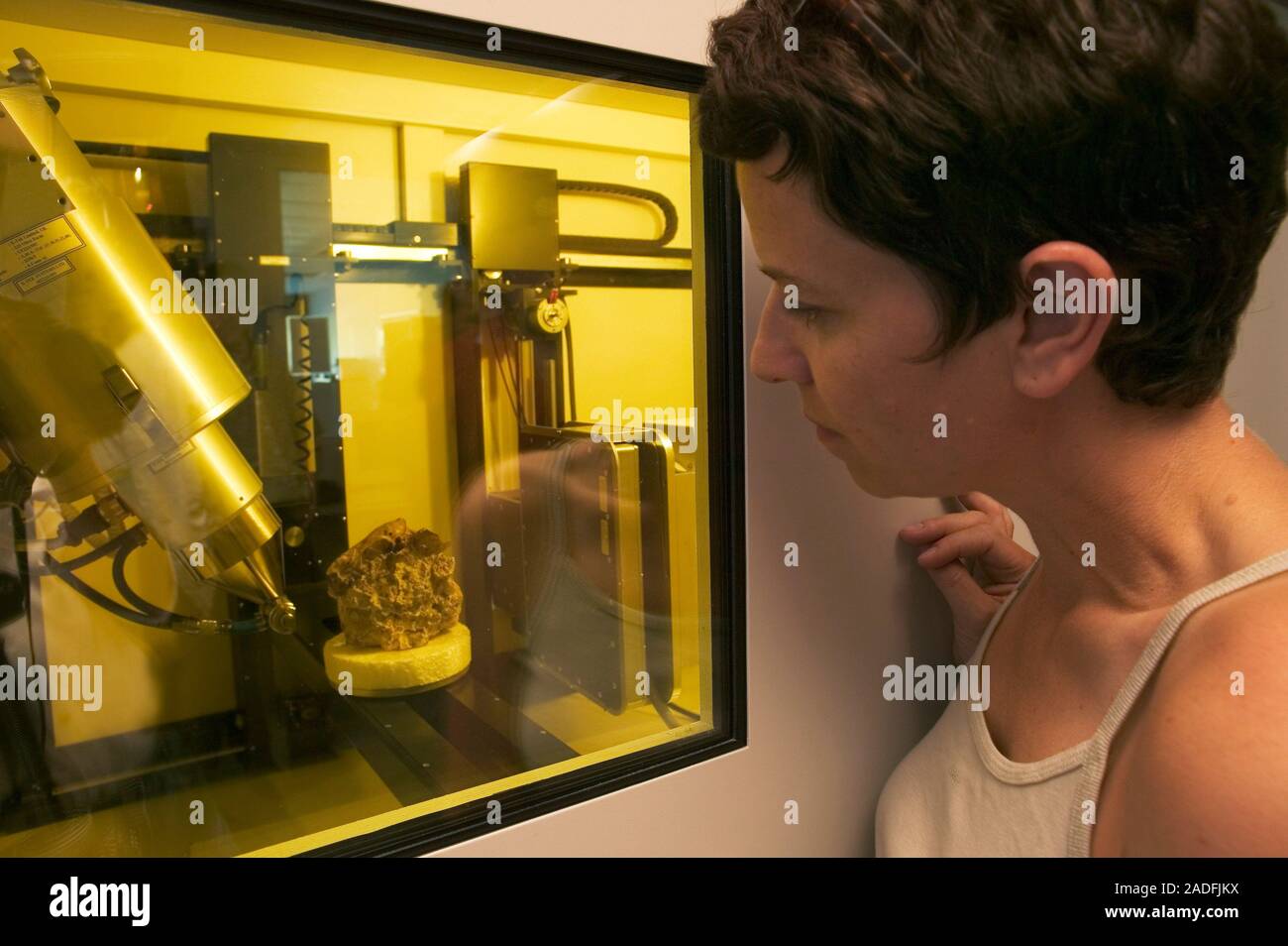 Fossil research. Researcher using a microtomograph to examine a fossil ...
