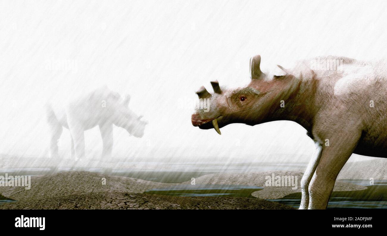 Uintatherium. Artist's impression of two Uintatherium (Uintatherium ...