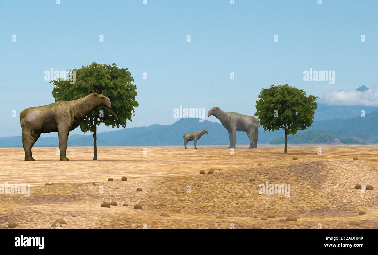 Indricotherium. Artist's impression of a herd of Indricotherium (also ...
