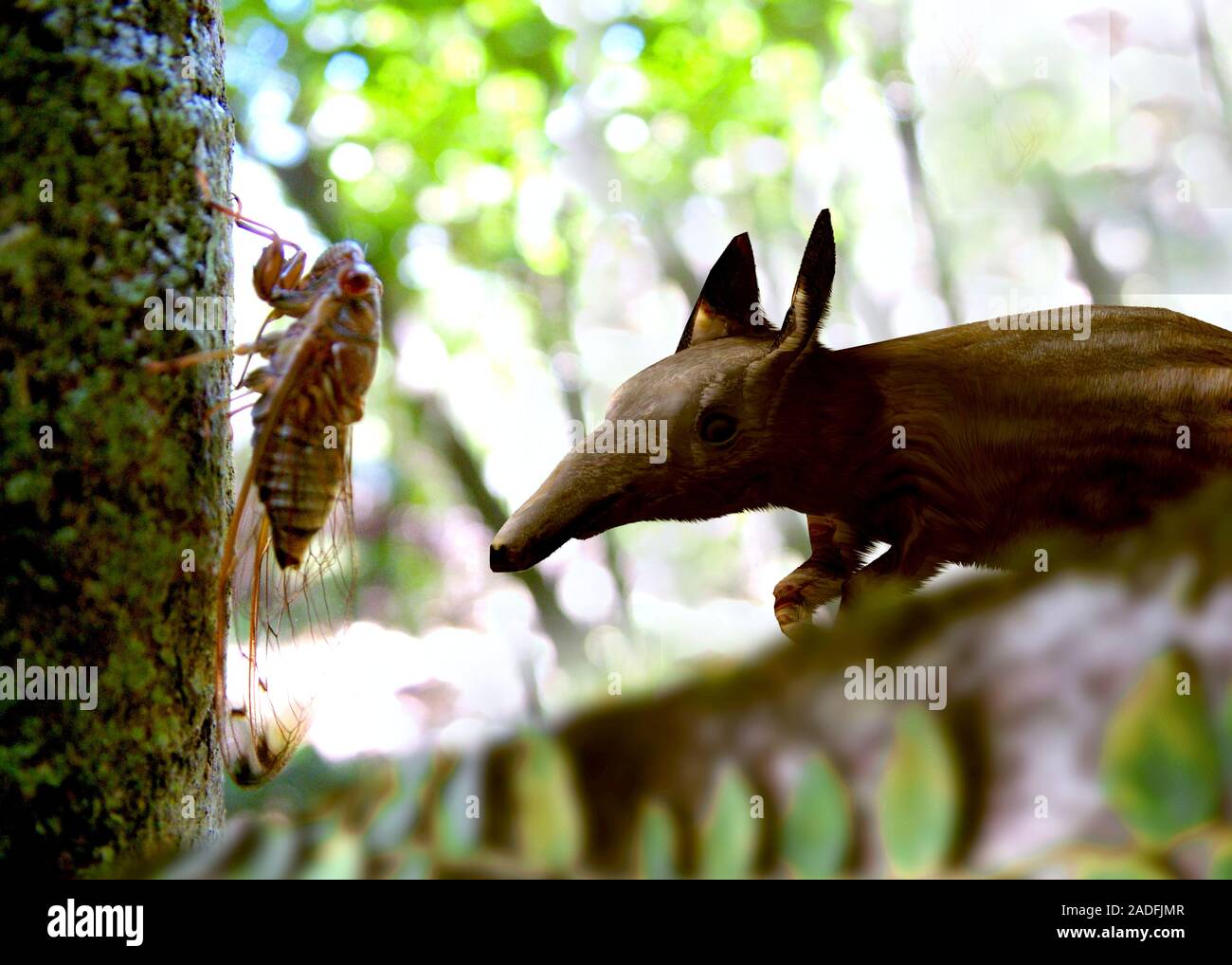 Leptictidium. Artist's impression of the extinct mammal Leptictidium ...