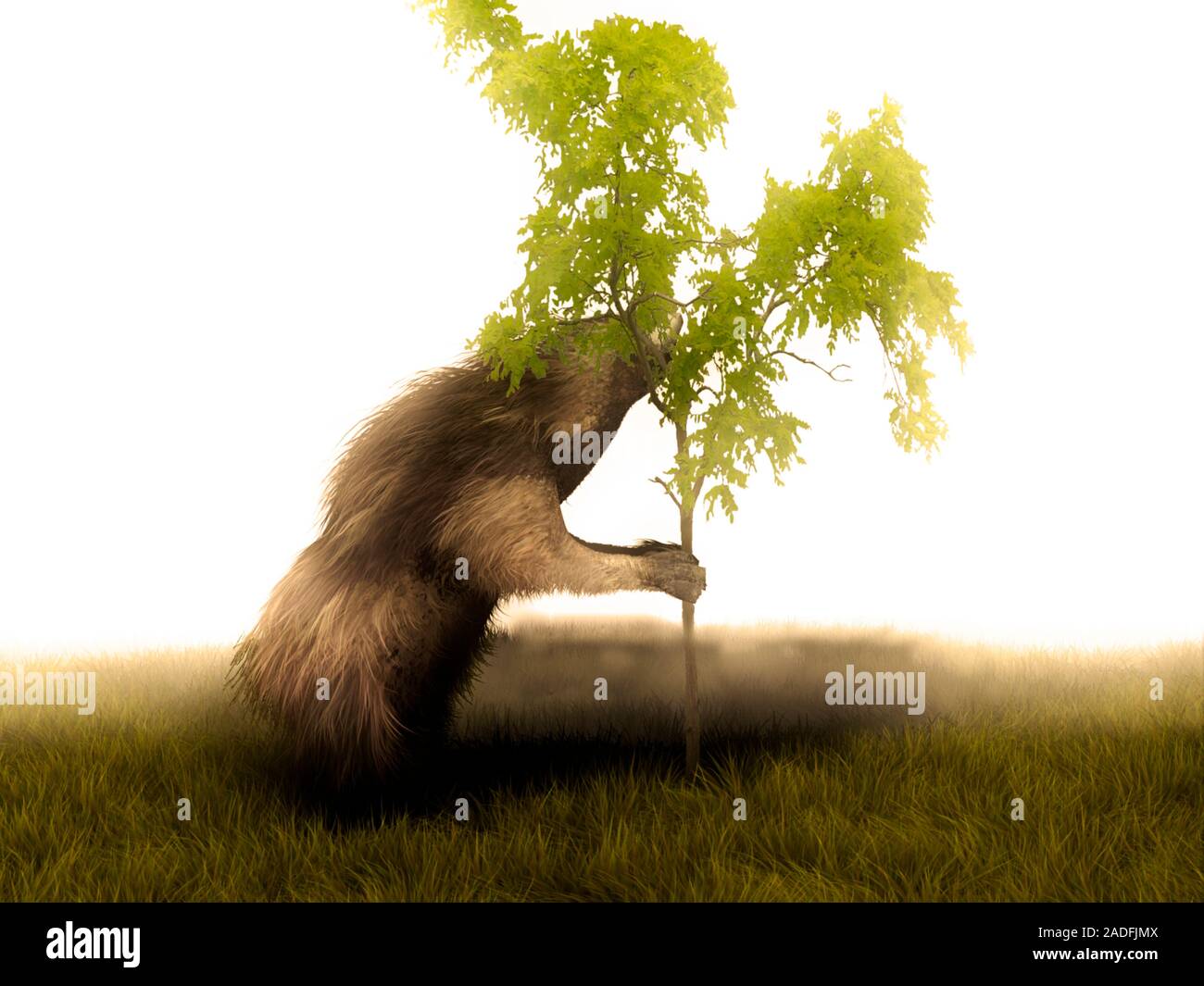 Megatherium. Artist's impression of Megatherium, an extinct species of ...