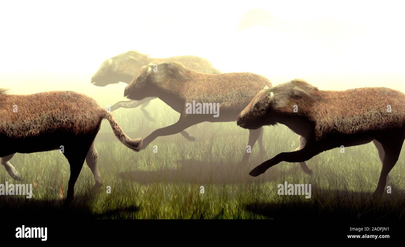 Merychippus. Artist's impression of a herd of the extinct horse ...