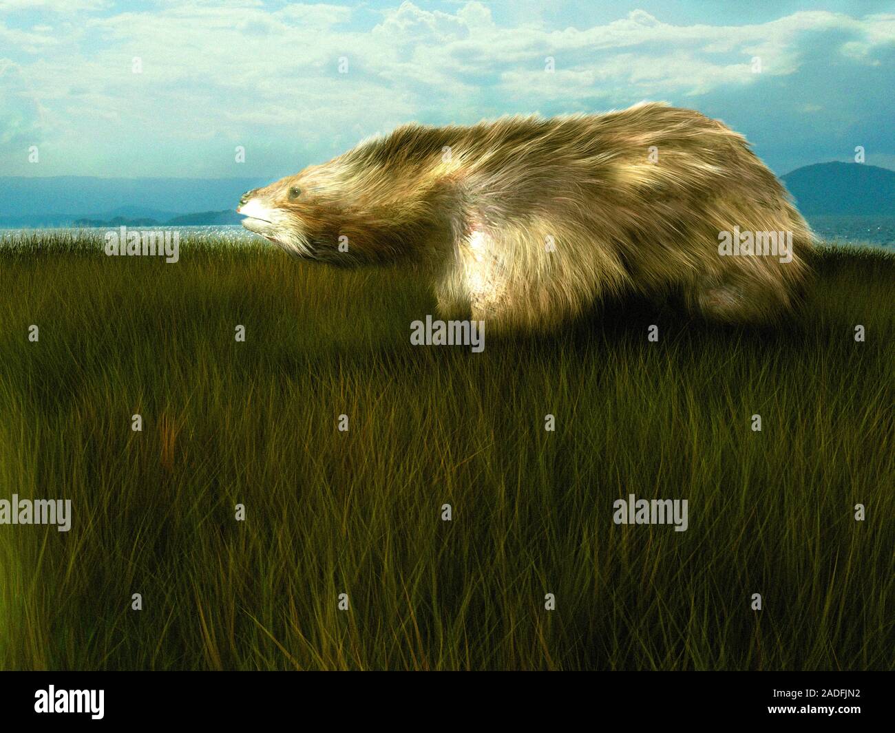 Megatherium. Artist's impression of Megatherium, an extinct species of ...