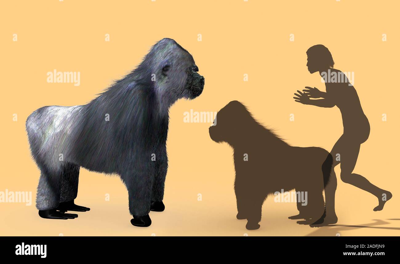 Prehistoric Giant Gorilla