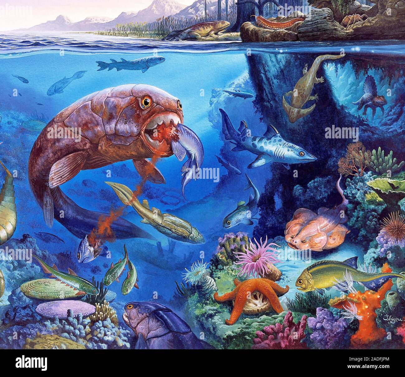 Palaeozoic marine animals. Artwork of marine animals that existed in different periods of the ...