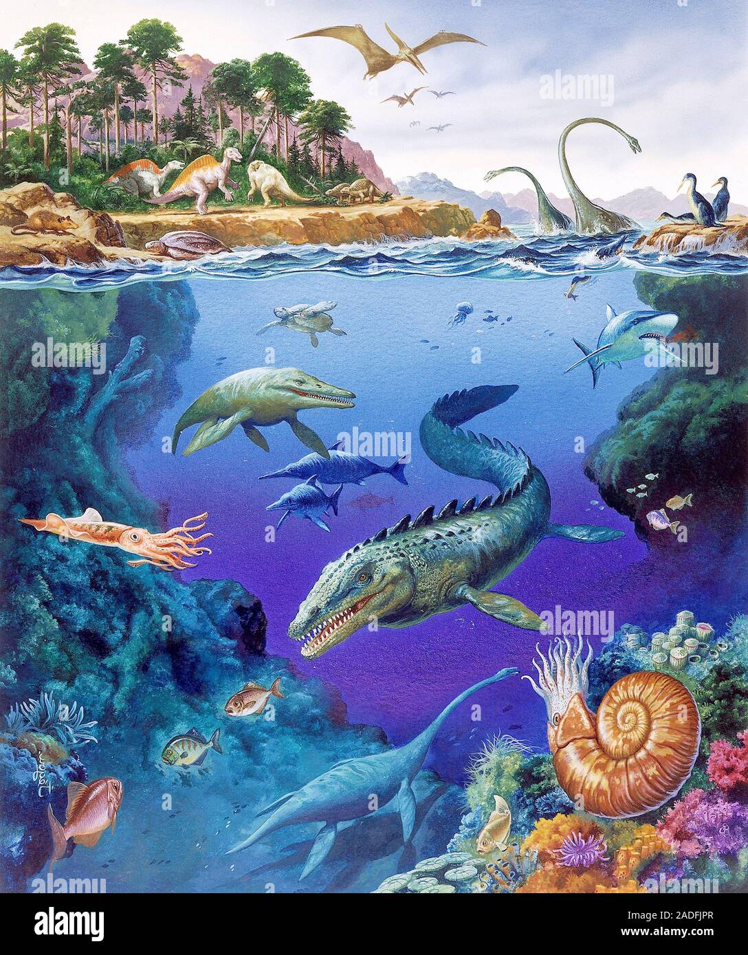 Cretaceous period fauna. Artwork depicting marine and land animals that ...