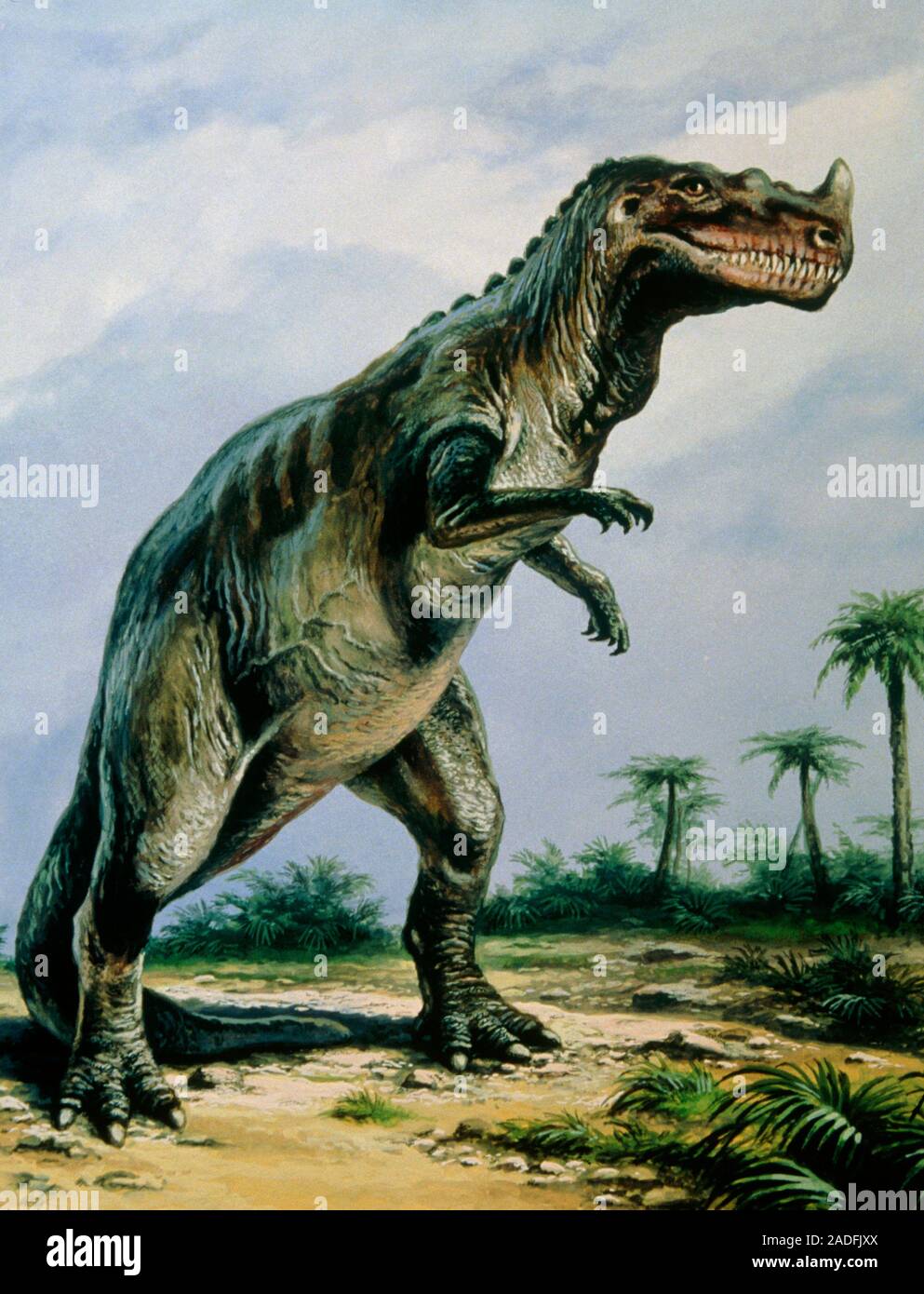 An artist's impression of the dinosaur Creatosaurus nasicornis, a carnivorous reptile which ...