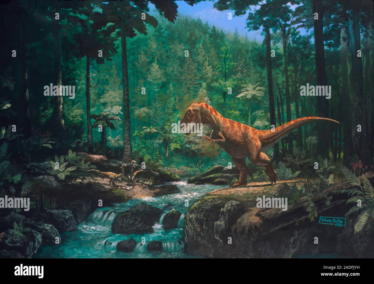 Artwork of a dinosaur, Tyrannosaurus, hunting in a forest. Dinosaurs ...
