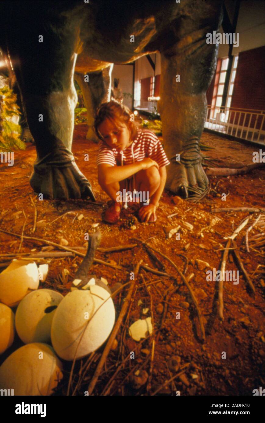 Dinosaur museum. A young visitor studies model eggs of a titanosaur ...