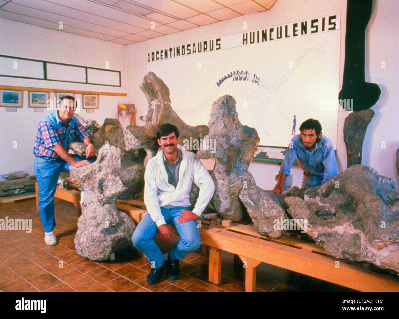 Biggest dinosaur, Argentinosaurus. Palaeontolo- gists Leonardo Salgado ...