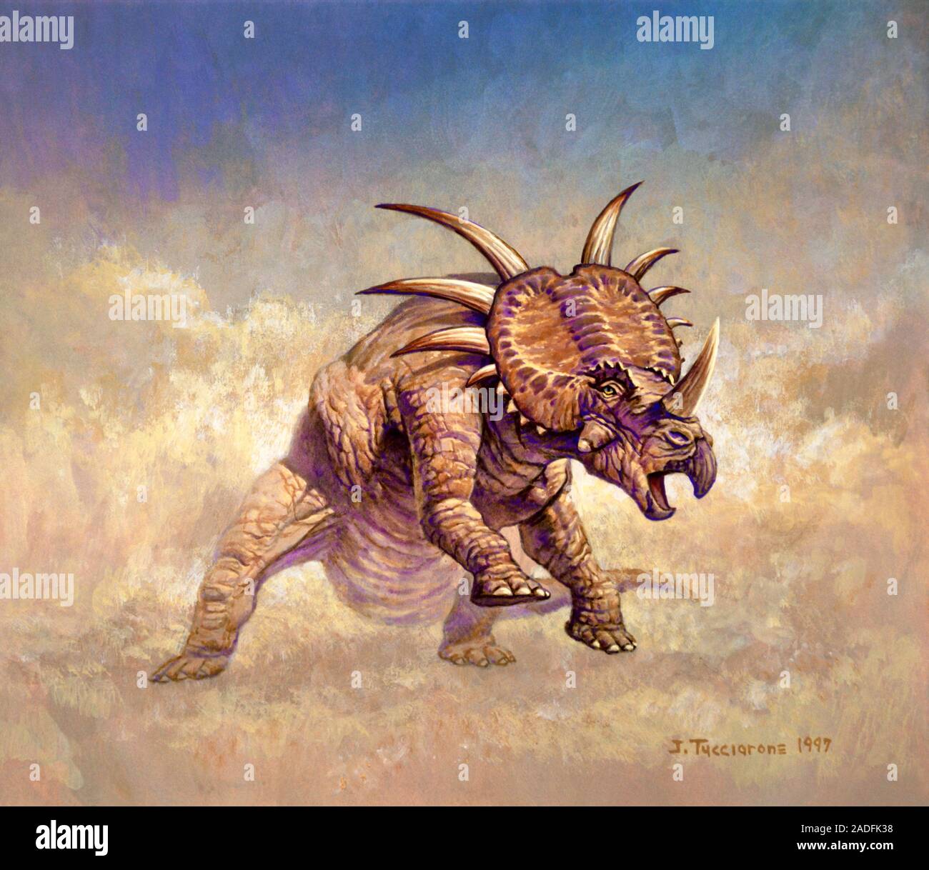 Styracosaurus dinosaur. Artwork of Styracosaurus (spiked reptile"), a ...