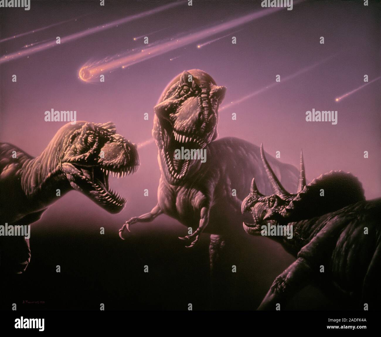Death of the dinosaurs. Artwork of two Tyrannosaurus rex dinosaurs attacking a Triceratops ...