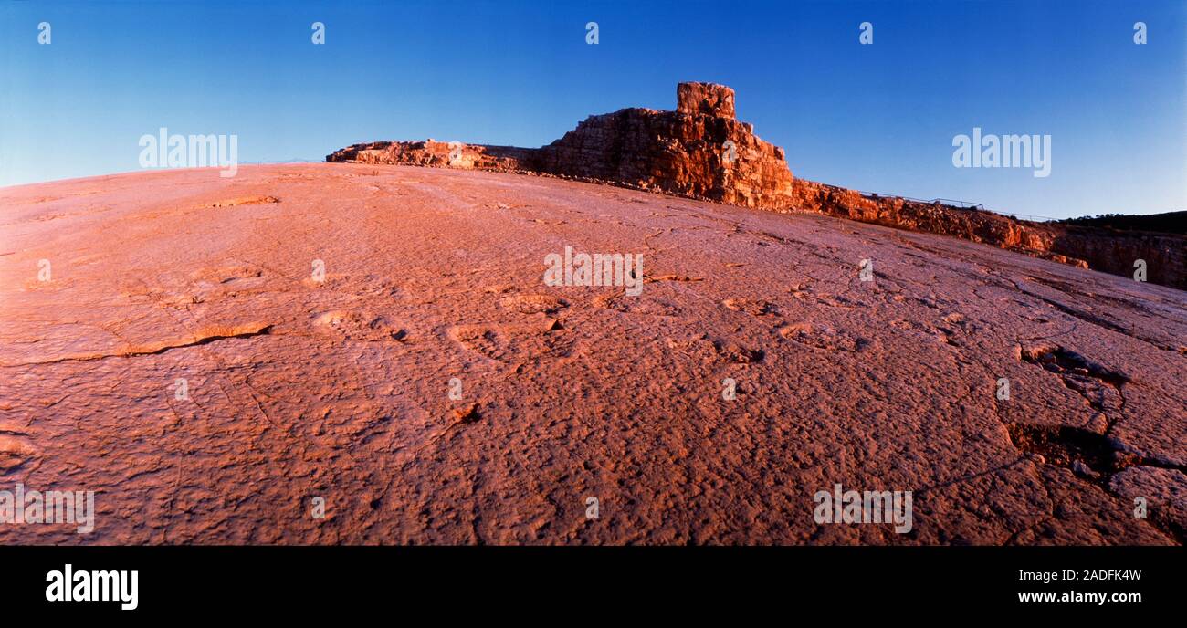 Dinosaur footprints. Fossilised footprints (lower right and across ... Dinosaur footprints. Fossilised footprints (lower right and across ...