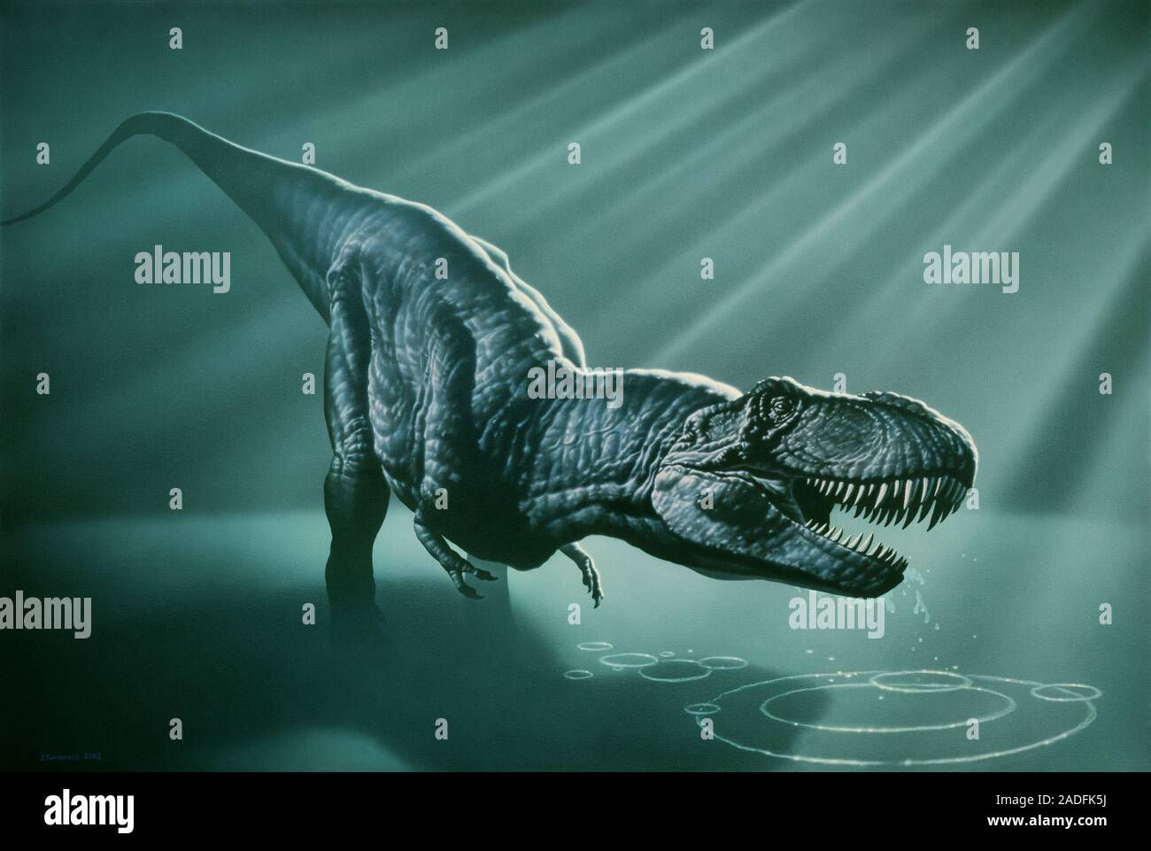 Tyrannosaurus rex drinking at night, artwork. This dinosaur lived in ...