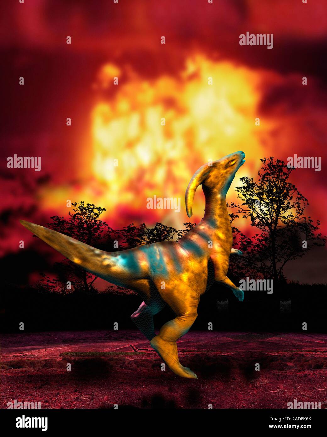 Extinction of the dinosaurs. Computer artwork of a Parasaurolophus dinosaur reacting in alarm to ...