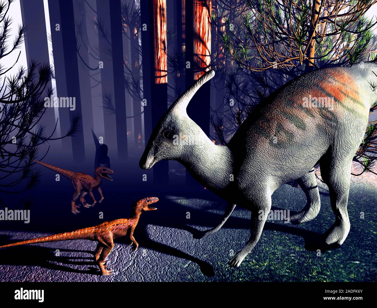 Raptor dinosaur attack. Computer artwork of small raptor dinosaurs ...