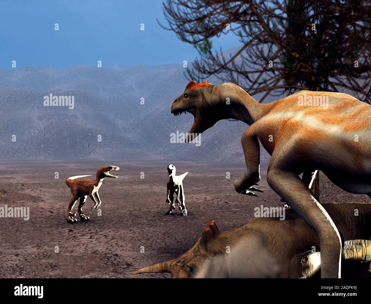 Dinosaurs at a kill. Computer artwork of a Daspletosaurus (right ...