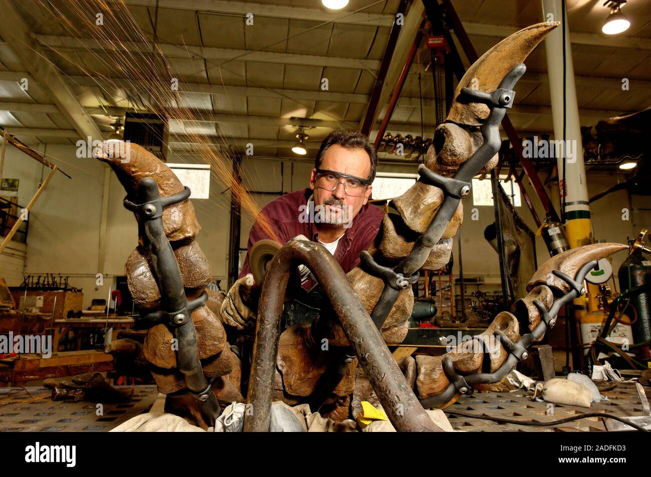 Tyrannosaurus rex renovation. Technician welding metal support armature ...
