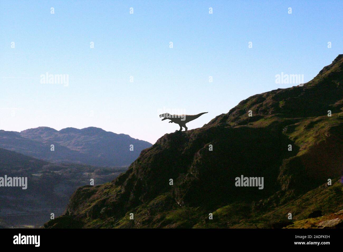 Tyrannosaurus rex dinosaur. Artwork of Tyrannosaurus rex (T. rex ...