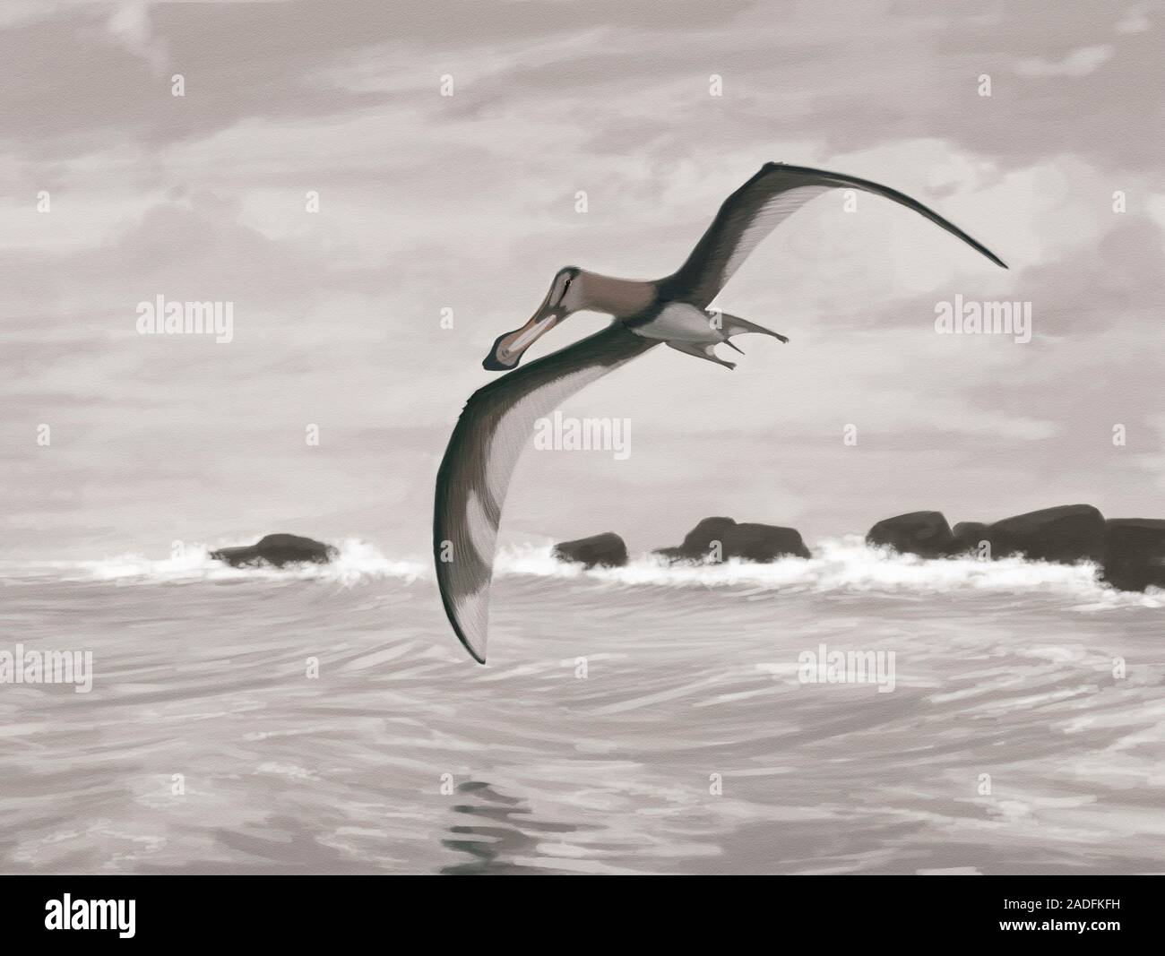 Pterosaur (Coloborhynchus piscator), artwork. Pterosaurs, also known as ...