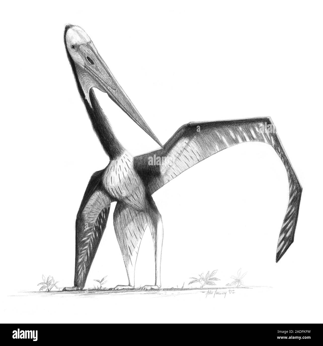 Pterosaurs (Zhejiangopterus linhaiensis) on the ground, artwork ...