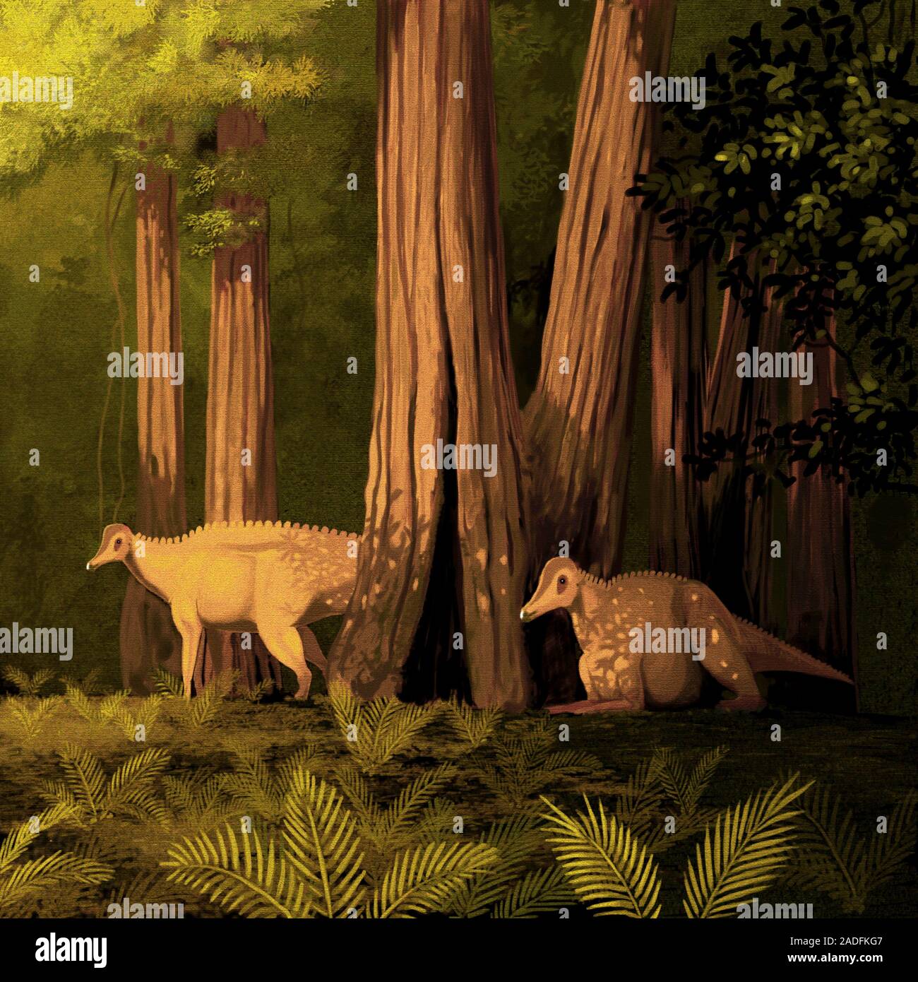 Corythosaurus (Corythosaurus casuarius) in trees, artwork. This species ...