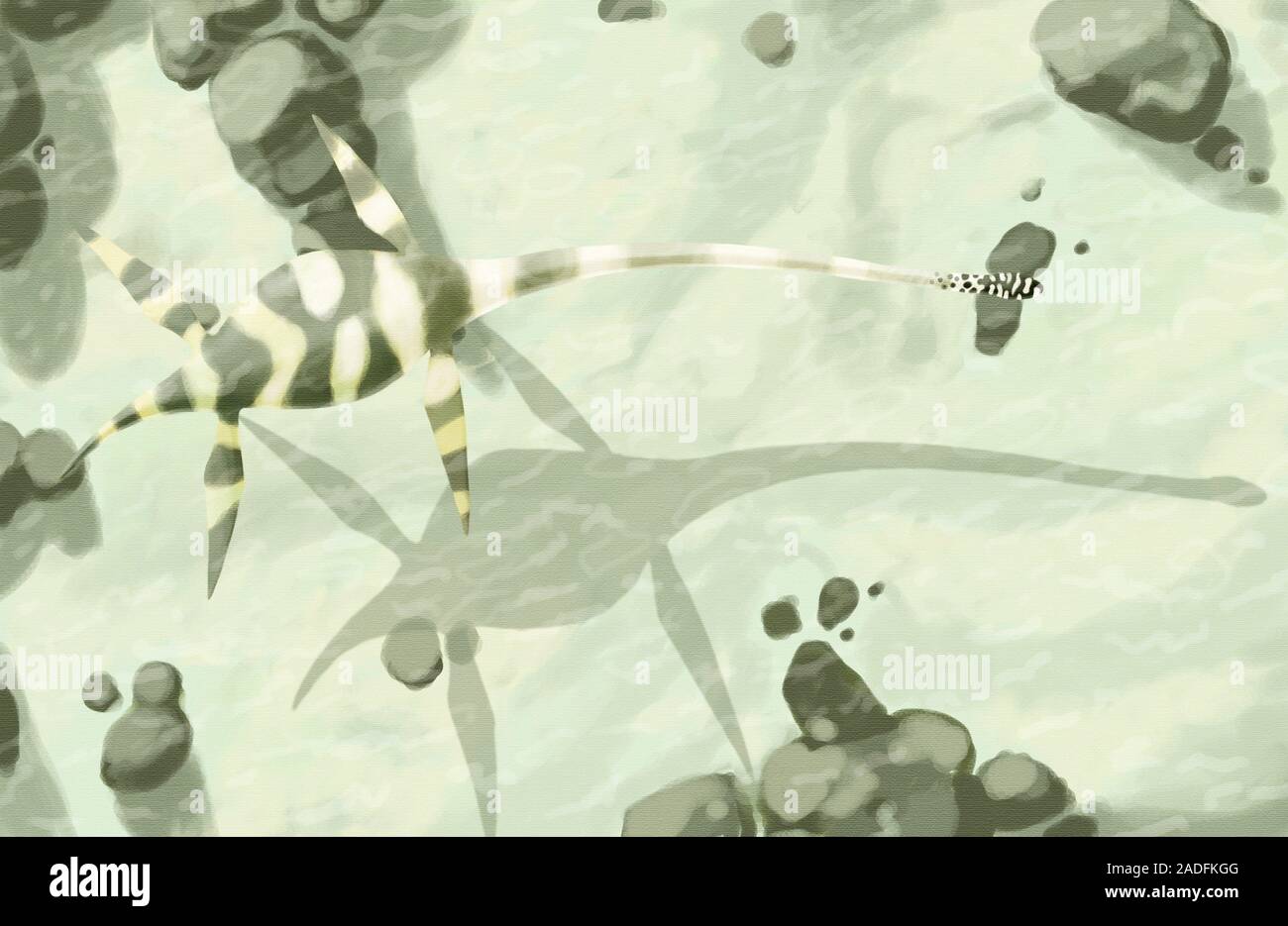 Woolungosaurus swimming underwater, artwork. This species belongs to ...