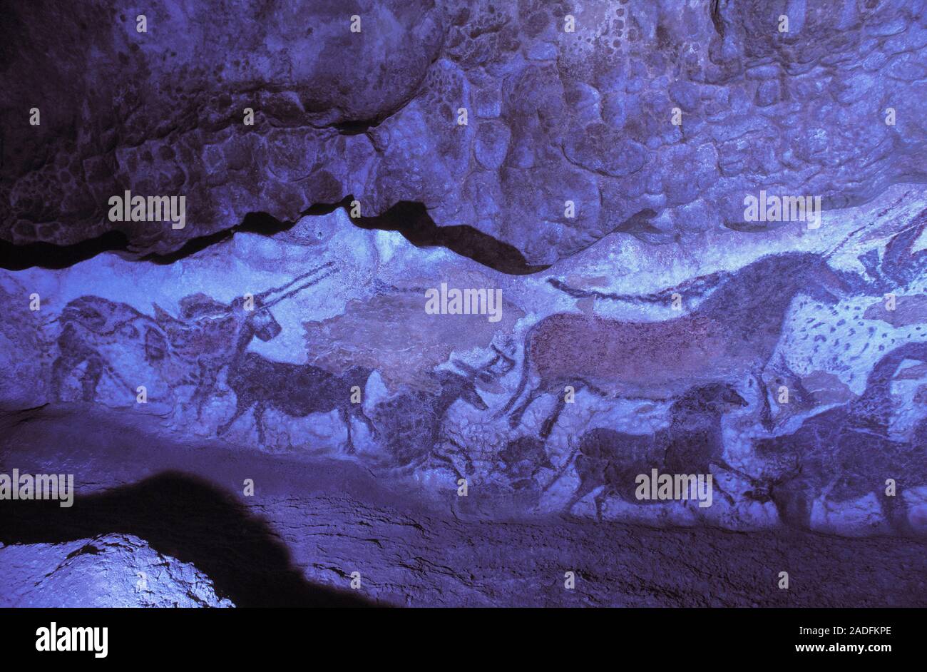 Lascaux cave paintings. These paintings are on the walls of the Lascaux ...