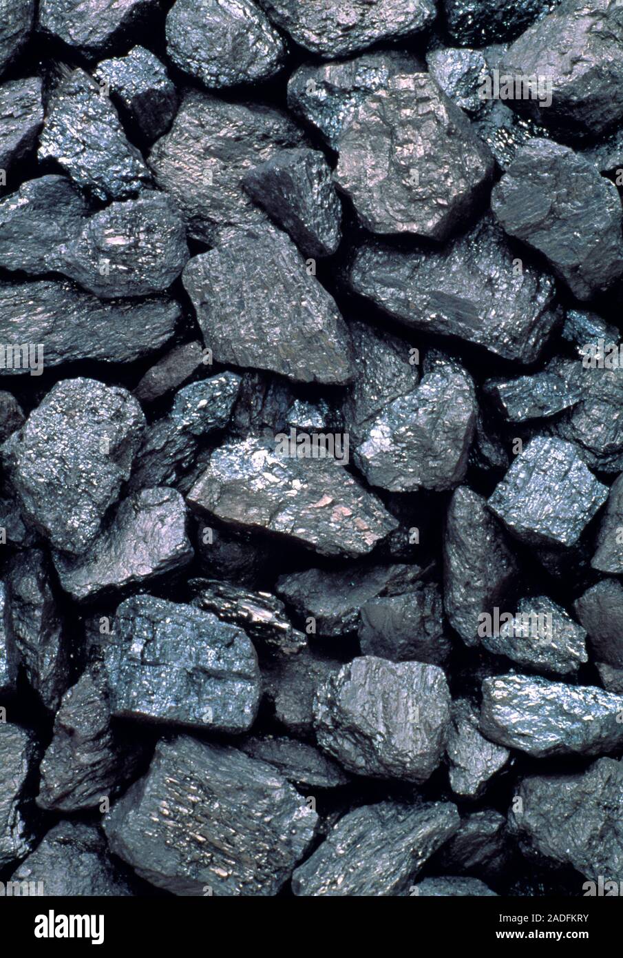 Anthracite. Specimens of anthracite coal, a hard, lustrous sedimentary ...