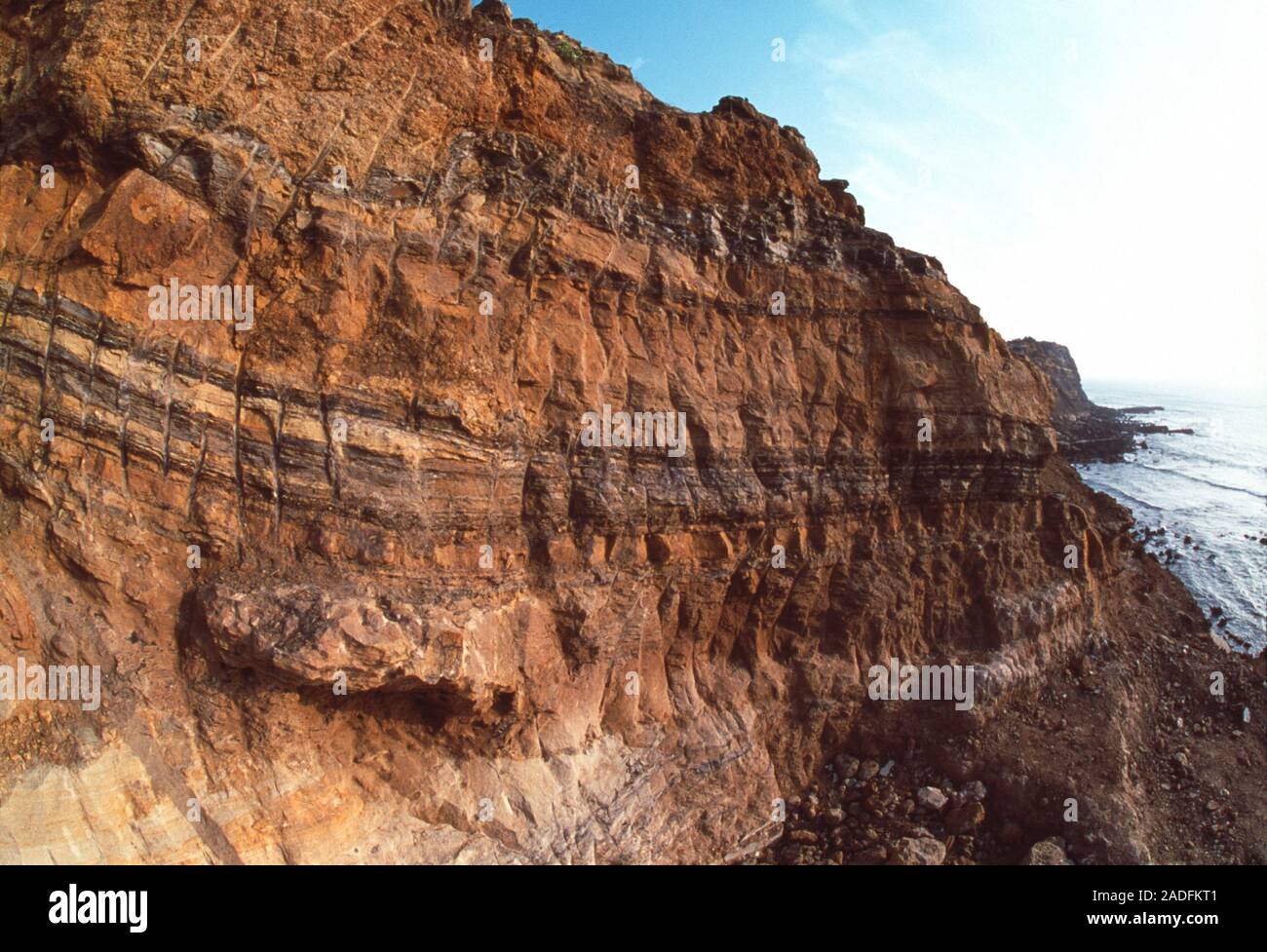Brown coal deposits (black layers) in a rock face. Also known as ...