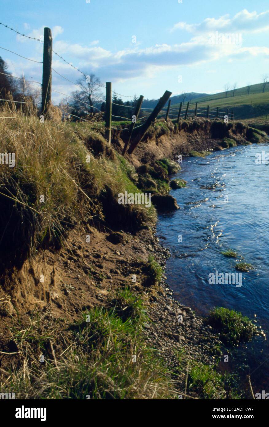 Erosion of a river-bank caused by flooding Stock Photo - Alamy