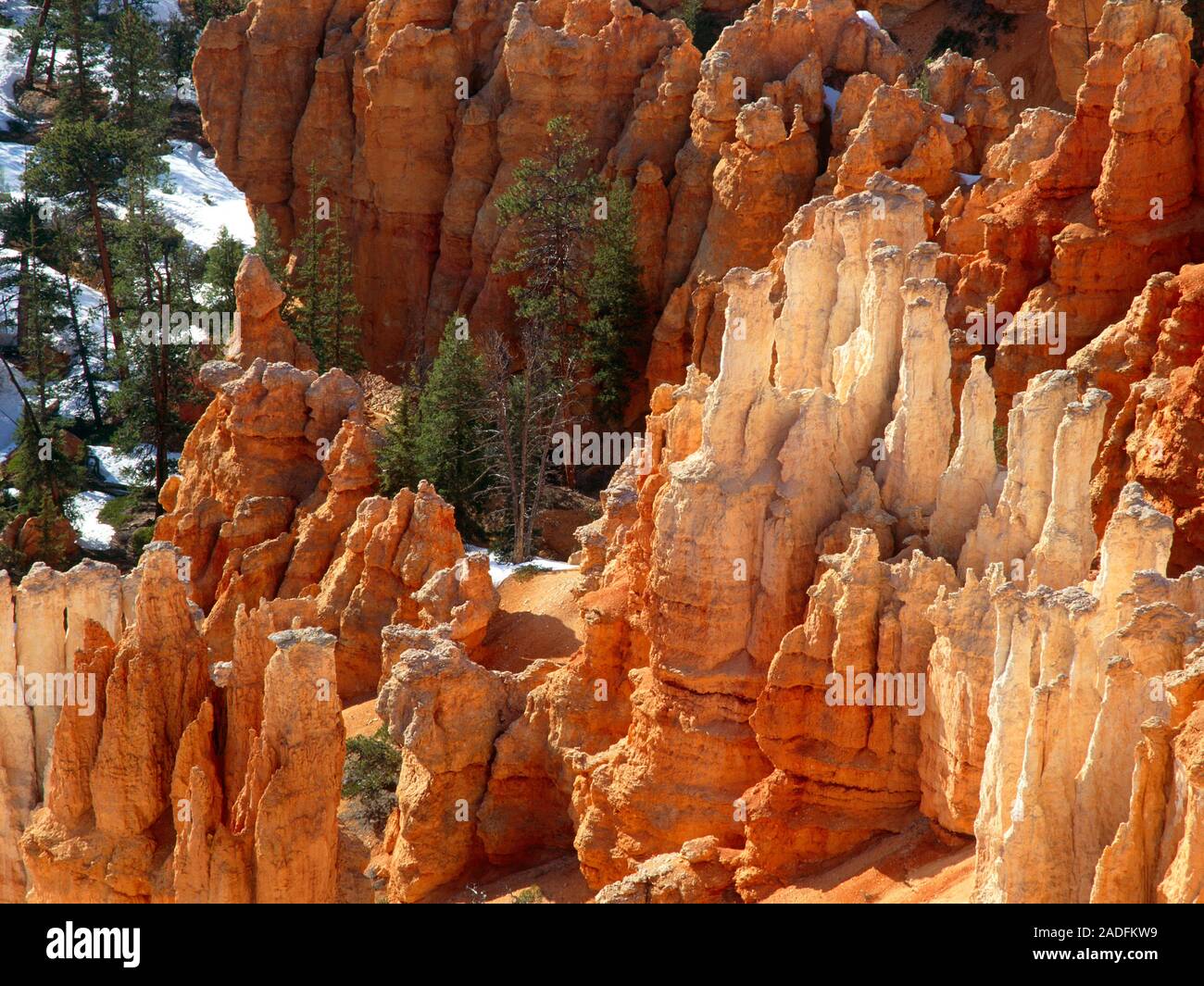 Weathering and erosion. View of part of Bryce Canyon, showing the ...