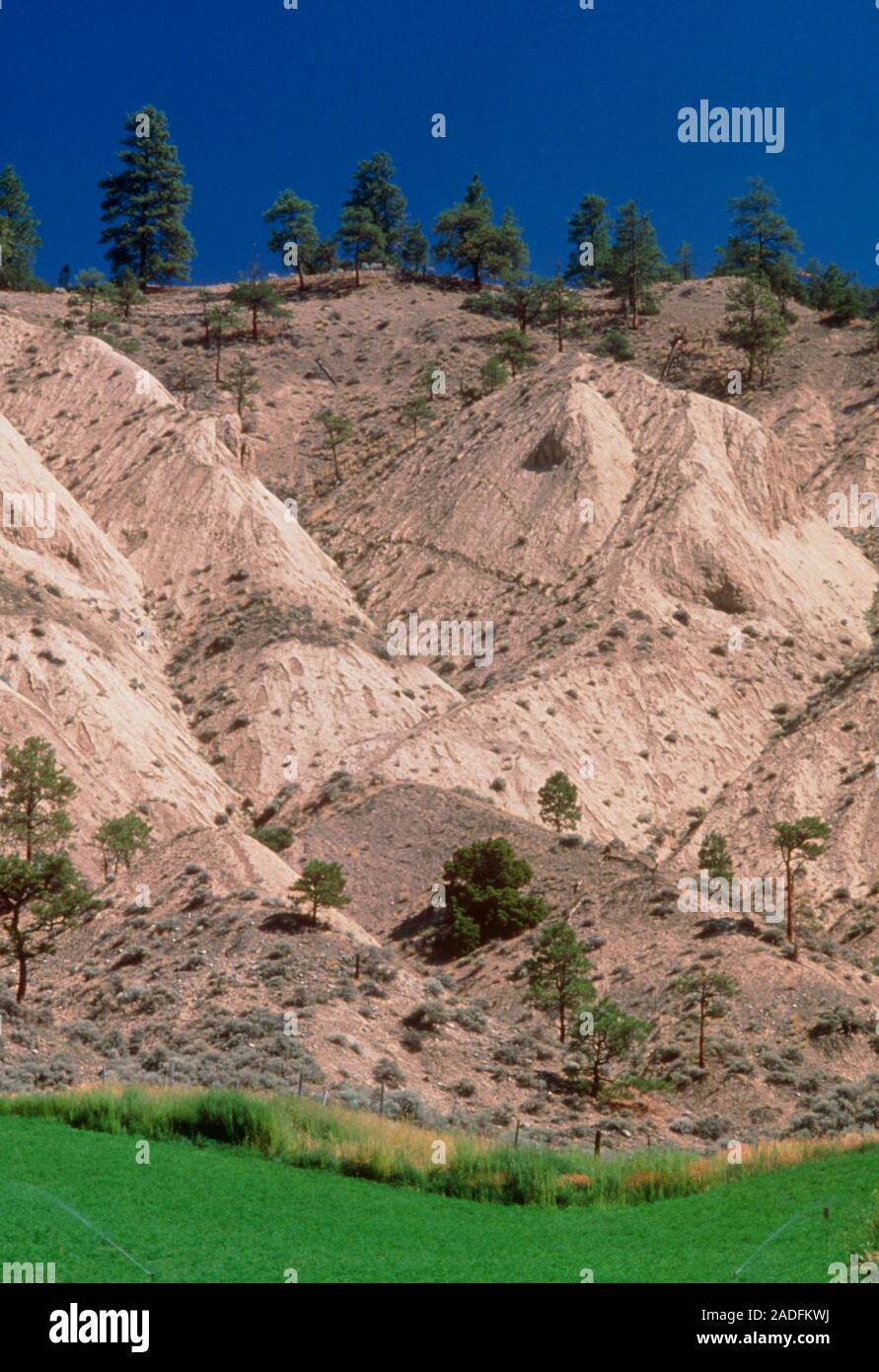 Soil erosion. Hillside soil erosion caused by over-grazing of farm ...