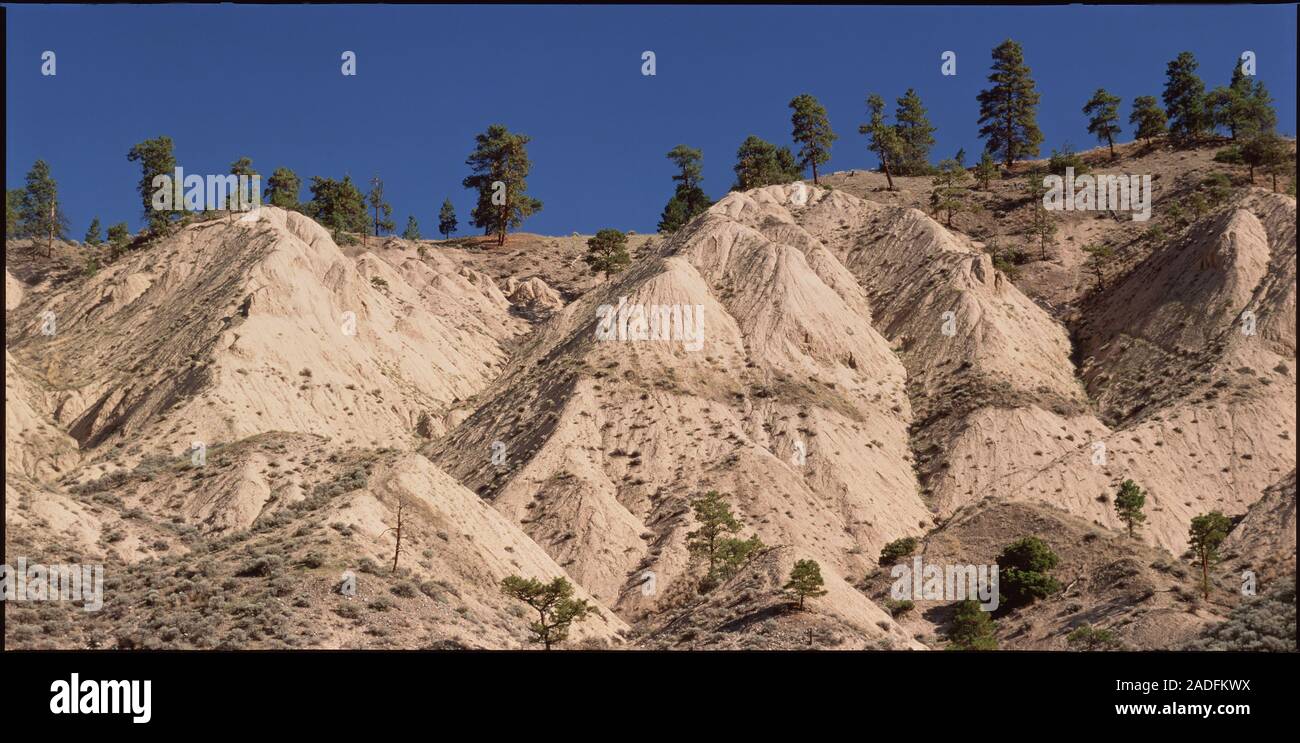 Weathering and erosion. The eroded side of an arid river canyon. The ...