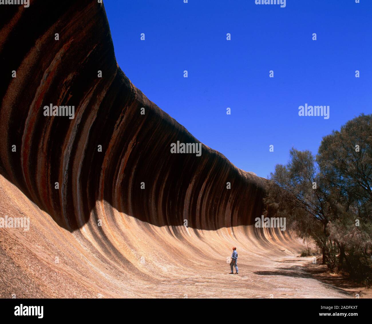 Wave rock. A curved, concave rock wall, formed by erosion of sandstone ...