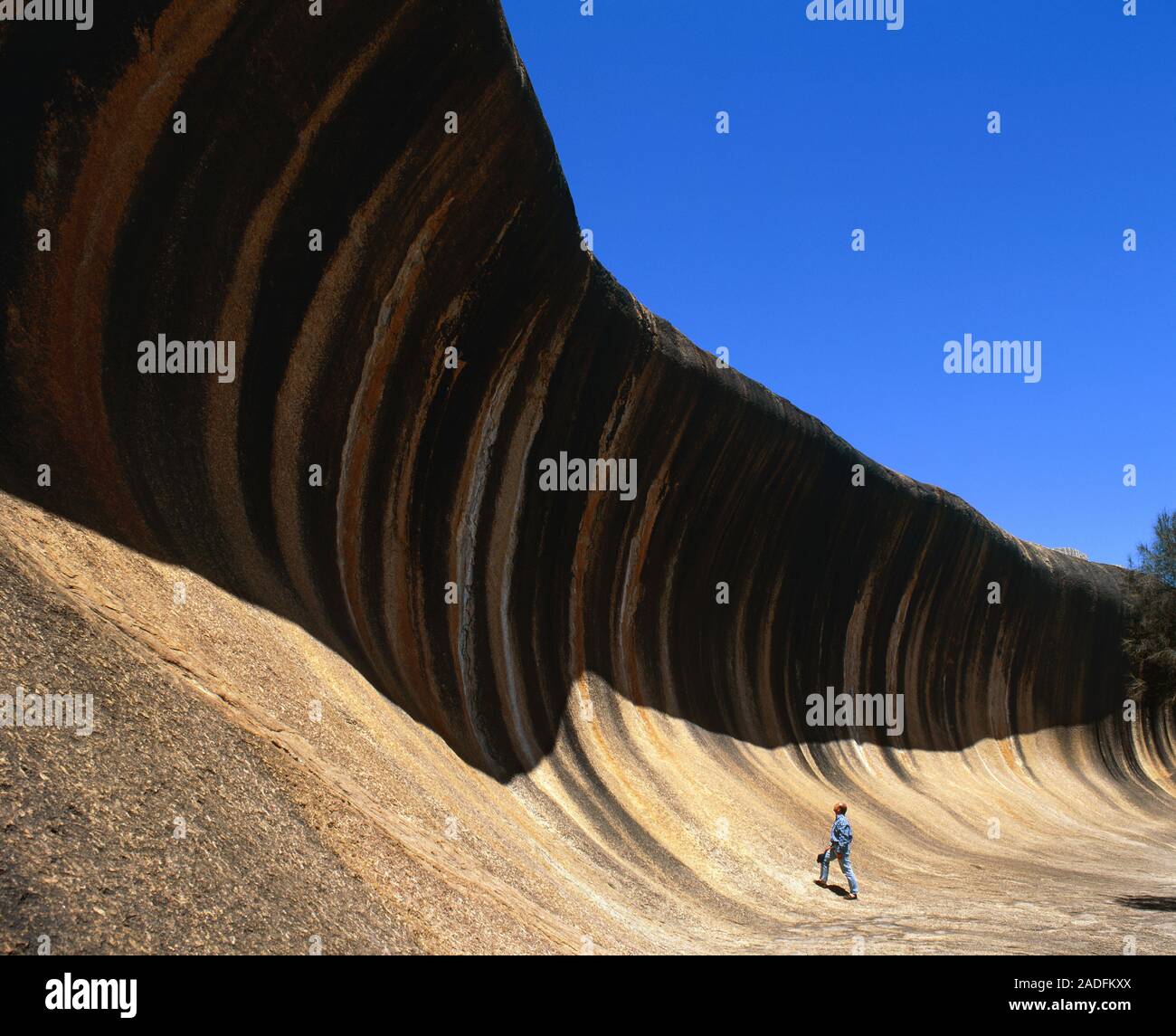 Wave rock. A curved, concave rock wall, formed by erosion of sandstone ...
