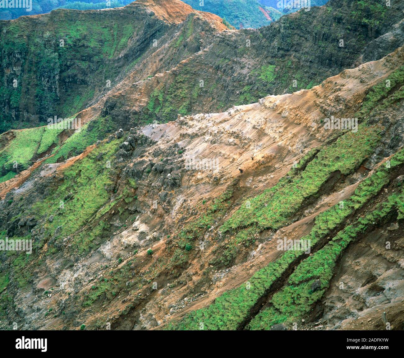 Weathering. Soil erosion due to the weathering of the sides of a canyon ...