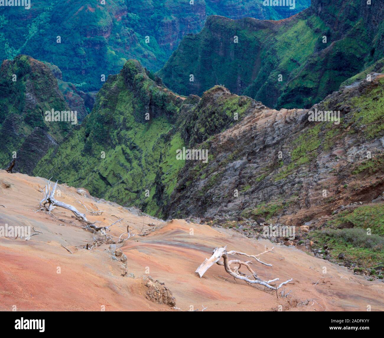 Weathering. Soil erosion due to the weathering of the sides of a canyon ...