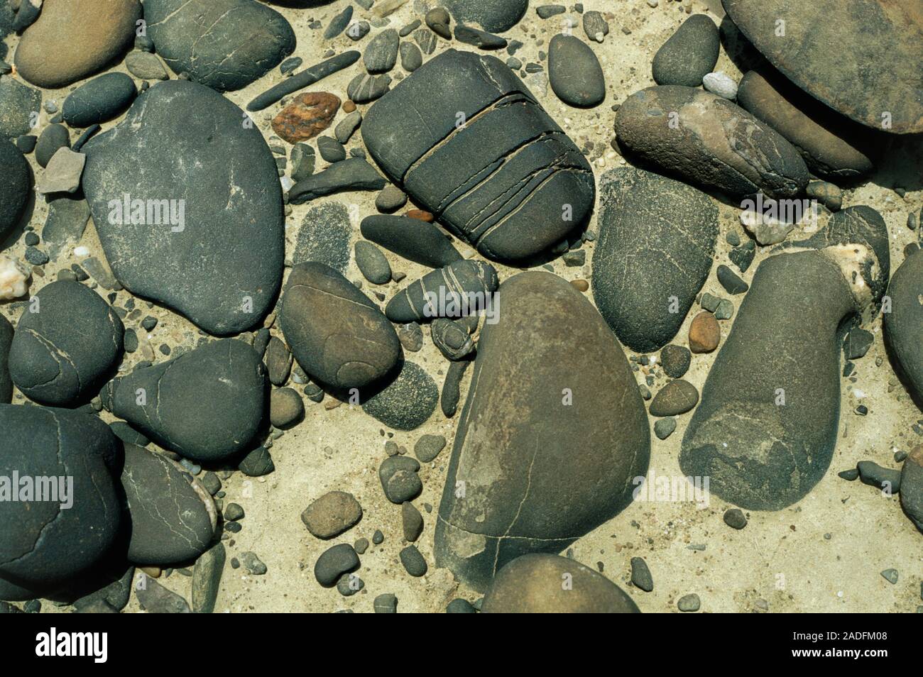 Wind erosion. A close-up of wind eroded pebbles in the desert. Some ...