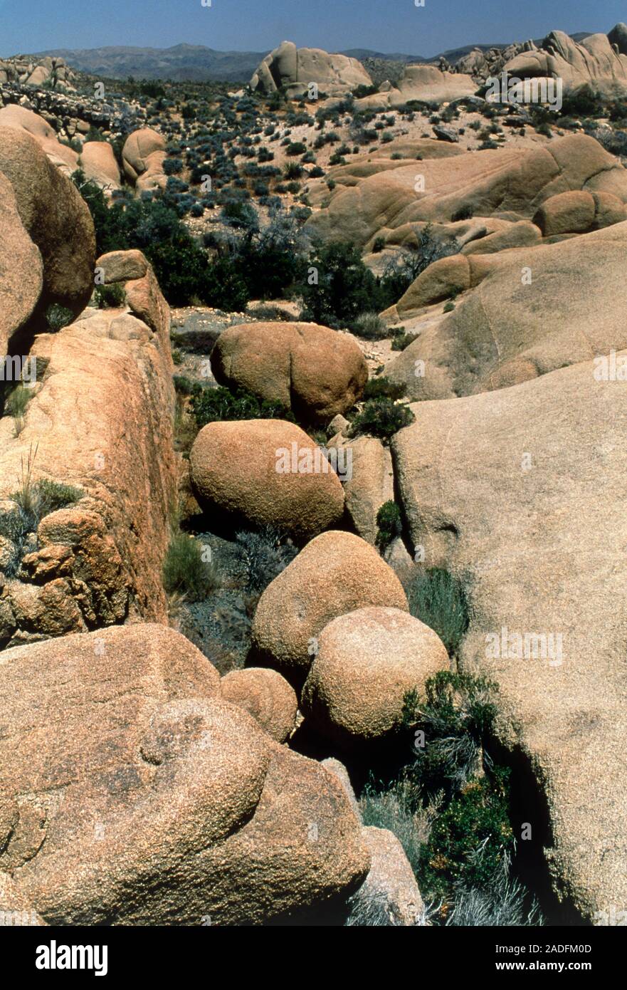 Spheroidal weathering. View of rounded granite rocks in the Mojave ...