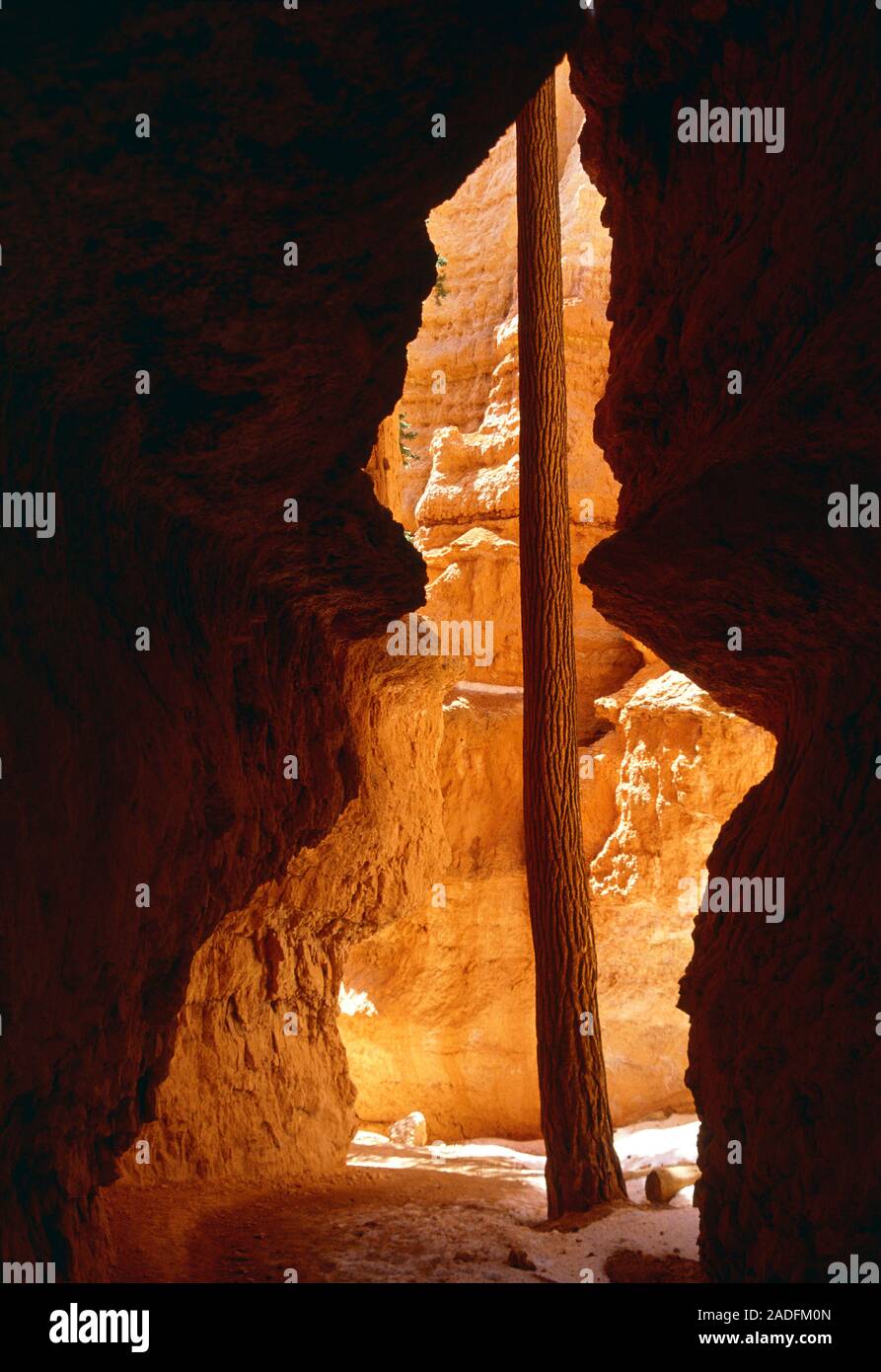 Slot canyon. View of Wall Street" which is a slot canyon carved out of ...