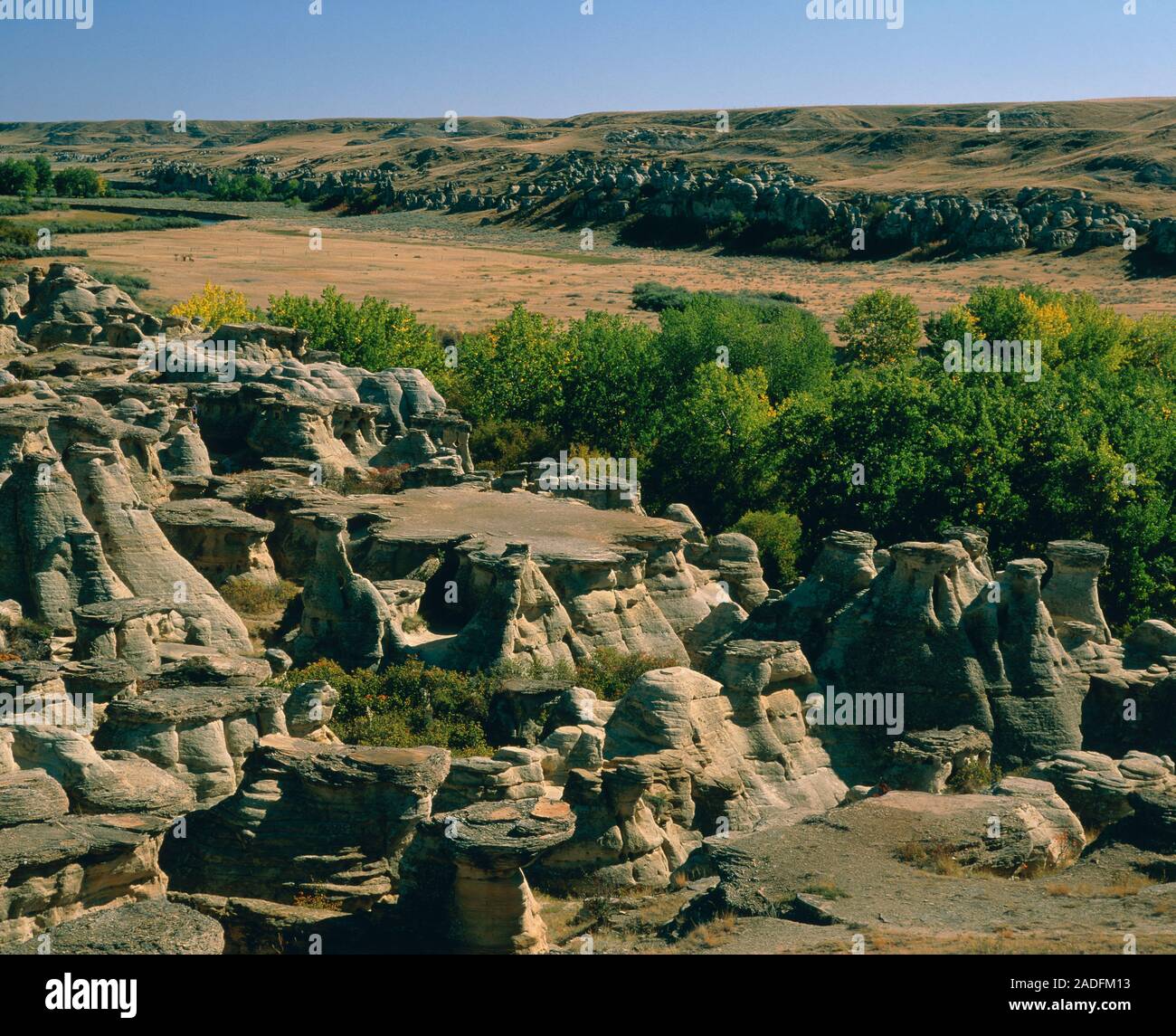 Earth pillars. Earth pillars, or hoodoos, at the Writing on Stone ...