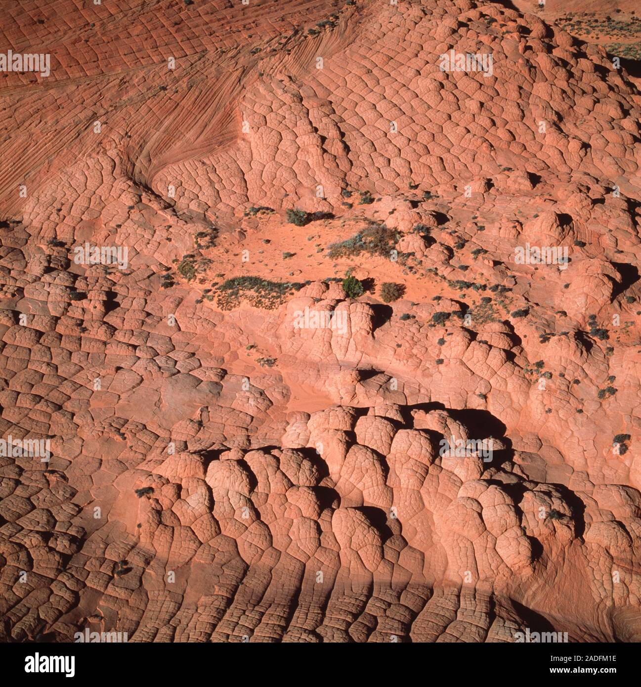 Eroded sandstone. Aerial photograph of eroded sandstone showing ...