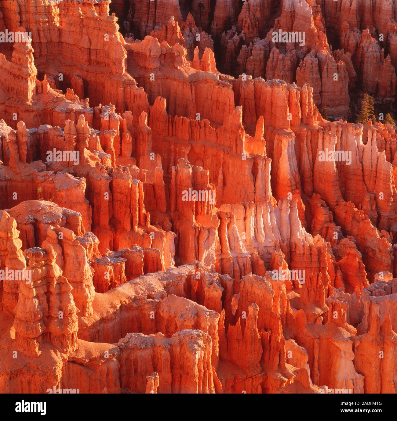 Eroded rock. Rock formations produced by erosion. The rock is composed ...