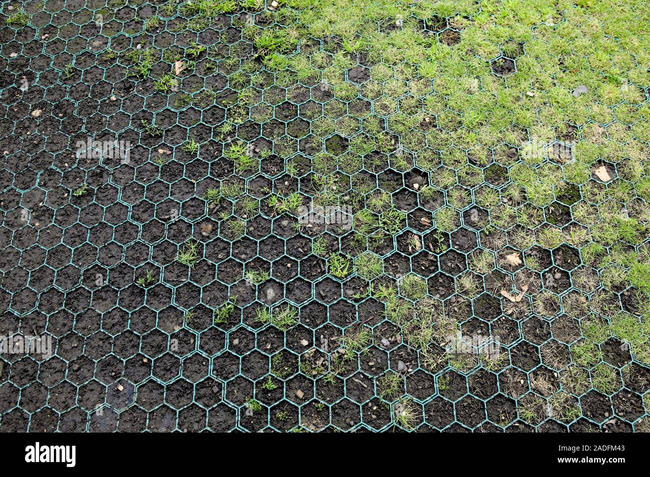 Erosion prevention. Plastic netting with a honeycomb structure has been ...