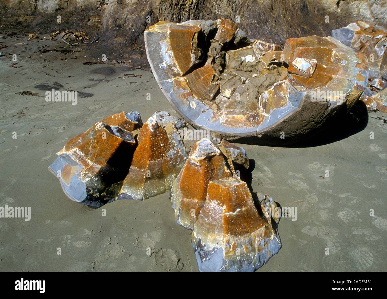 Moeraki boulder fragments, New Zealand. These fragments originally ...