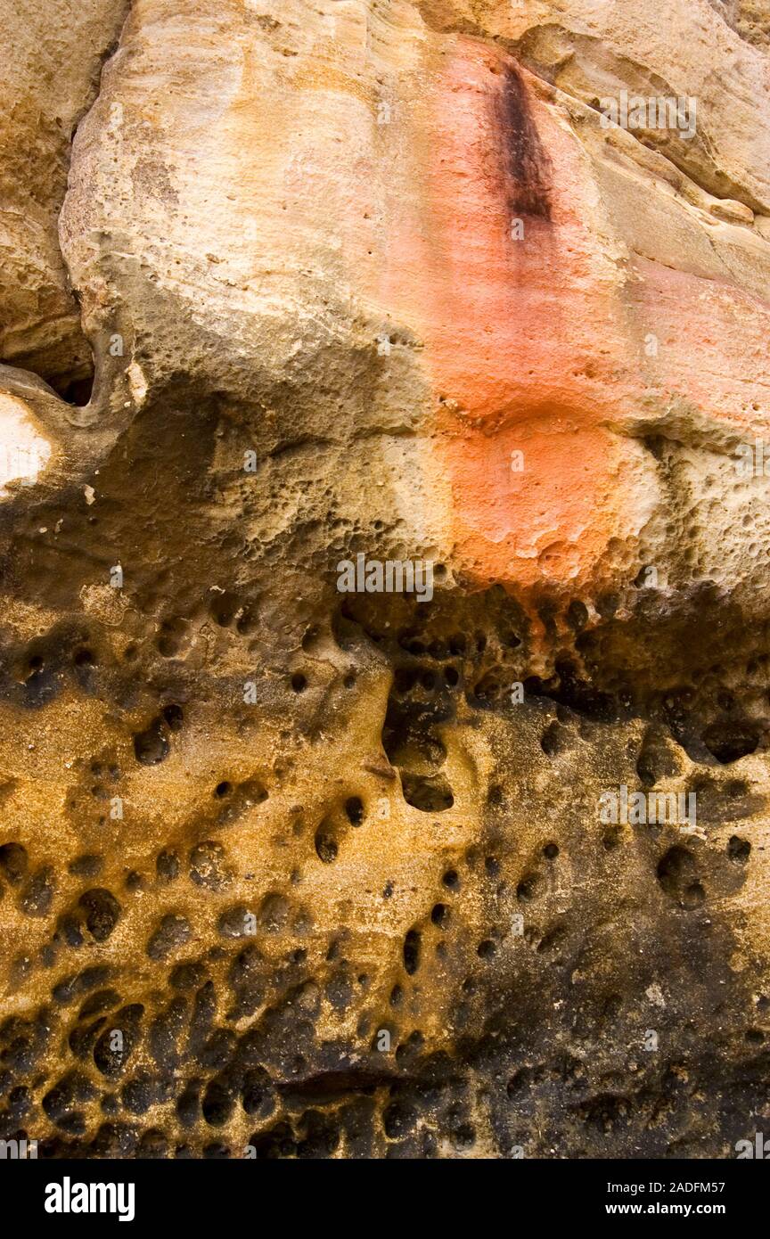 Sandstone erosion at Bako National Park, Sarawak, Malaysia. The ...