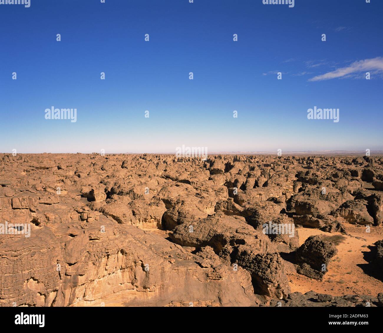 Stone forest, Tin Tazarift, Tassili National Park, Algeria. These ...