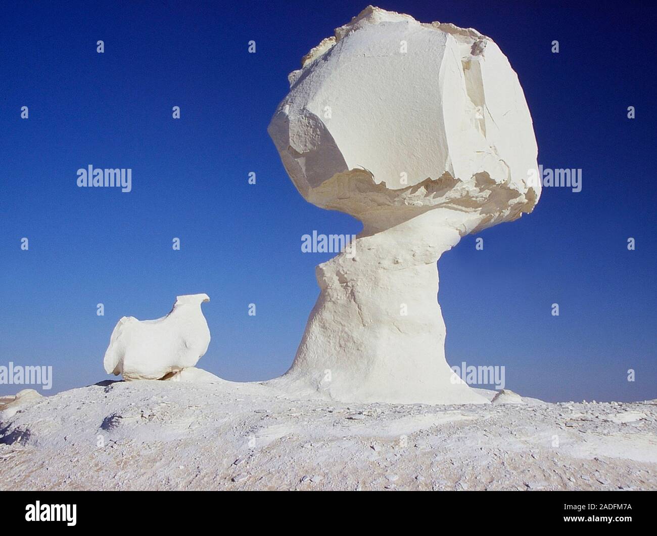 White Desert formations, Egypt. These structures have been formed by ...